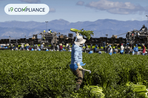 H-2A Program Revisions Could Increase Burden on Employers